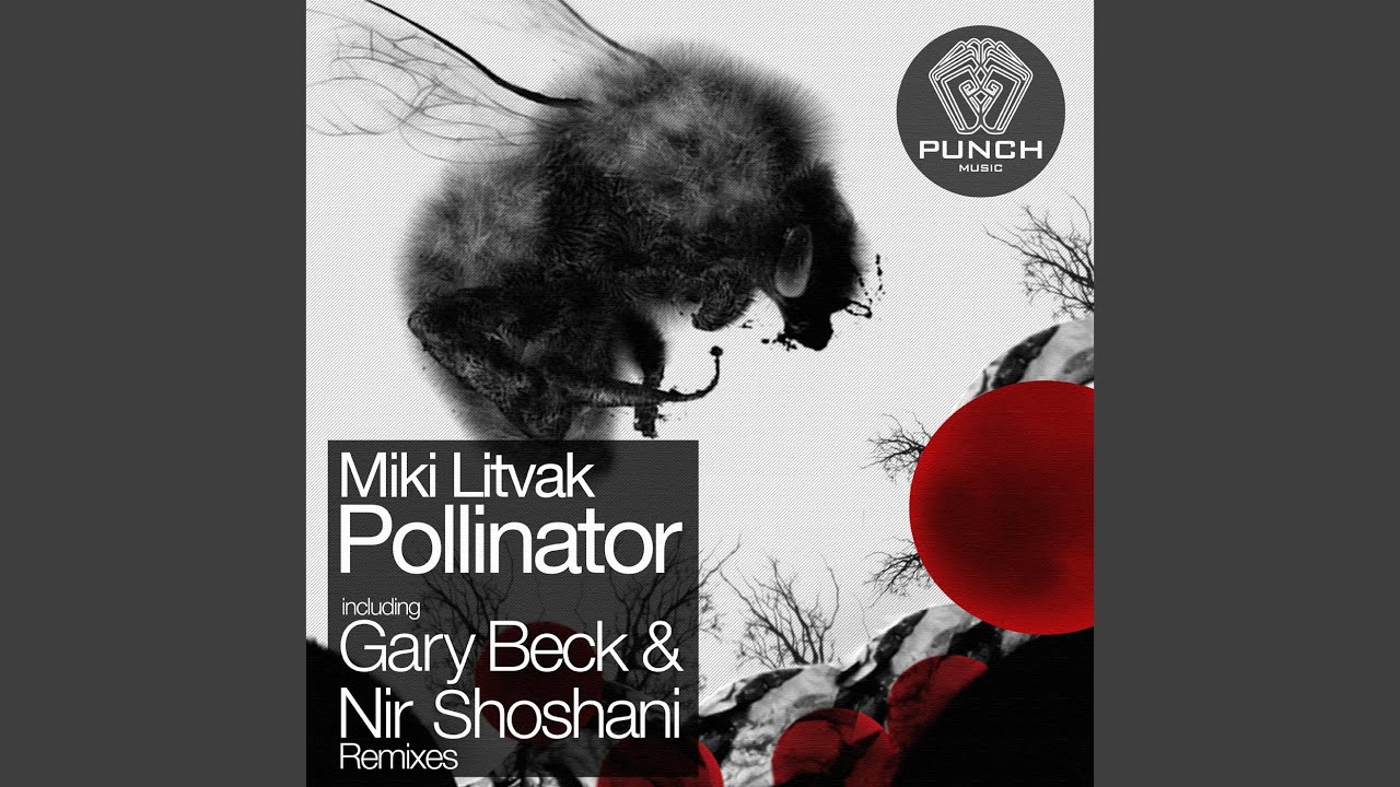Pollinator (Nir Shoshani Remix) - YouTube
