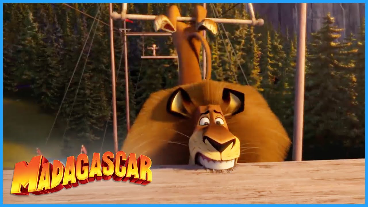Madagascar 3 Characters Alex
