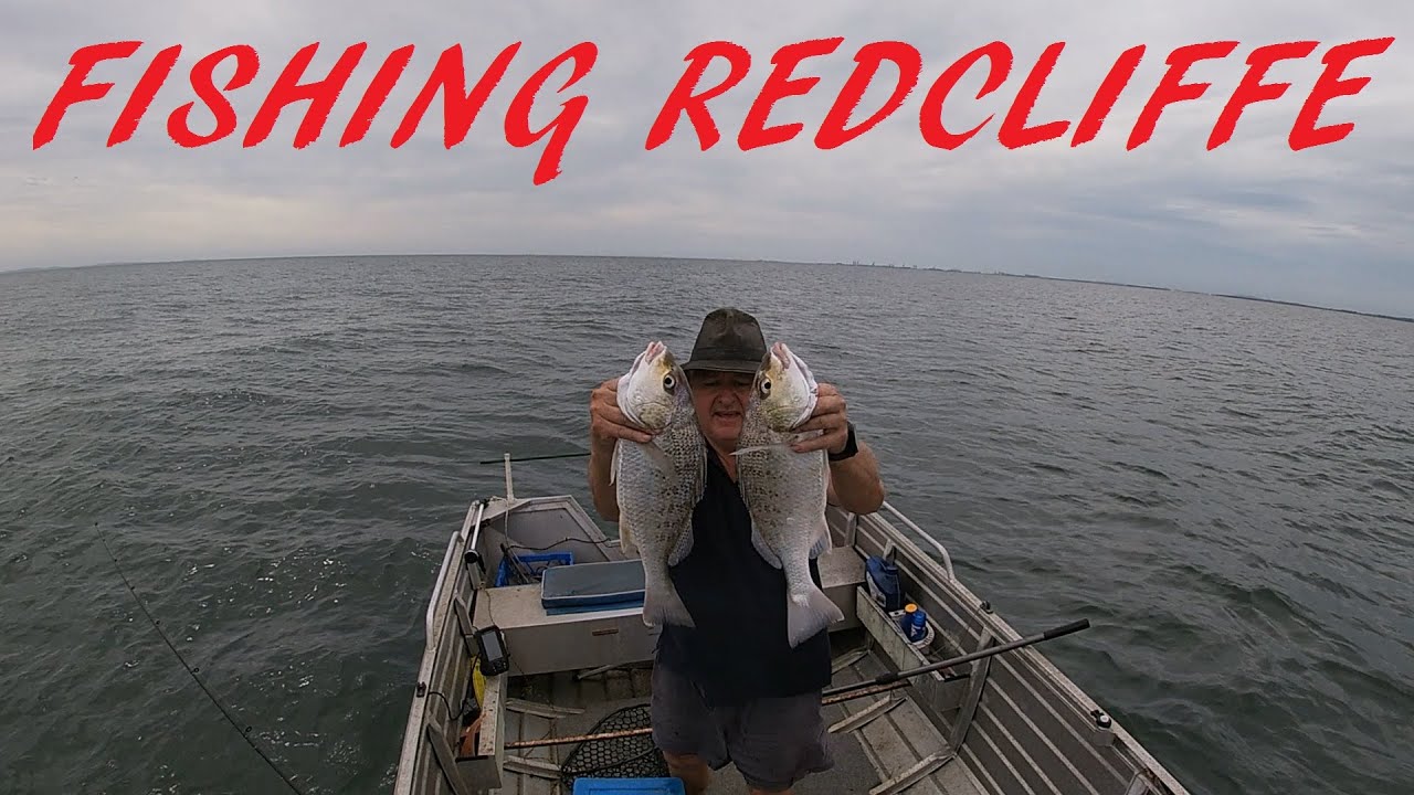REDCLIFFE FISHING 24TH JAN 2025 - YouTube