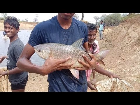|| ravva fishing || in my village cheruvu || 5kg fish 🐠🐟 part 1 - YouTube