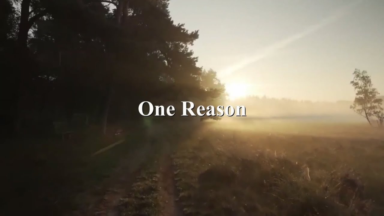 One Reason/milet (full cover) - YouTube