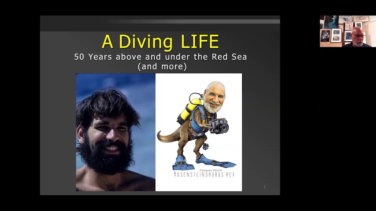 Howard Rosenstein - 50 years in the Red Sea - YouTube