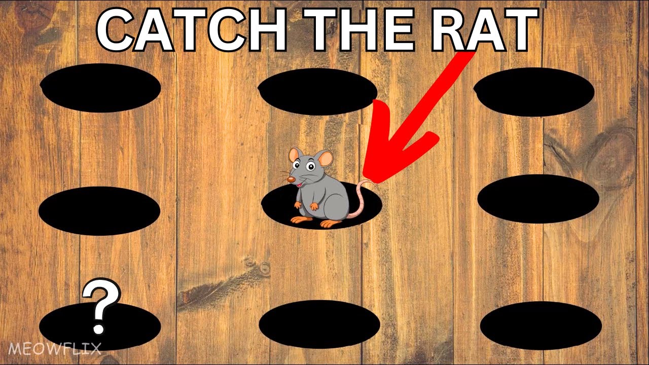Cat Games: RAT Chase! Video for Cats to Watch . - YouTube