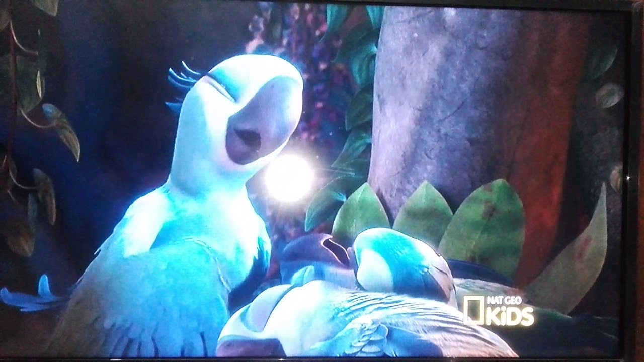 Rio 2 - cancion de cuna de perla - YouTube