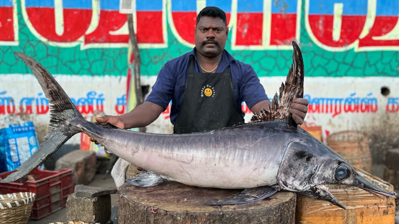 KOLA FISH FANTASTIC🔥SLICE BY SPEED SELVAM 💪⚡ - YouTube