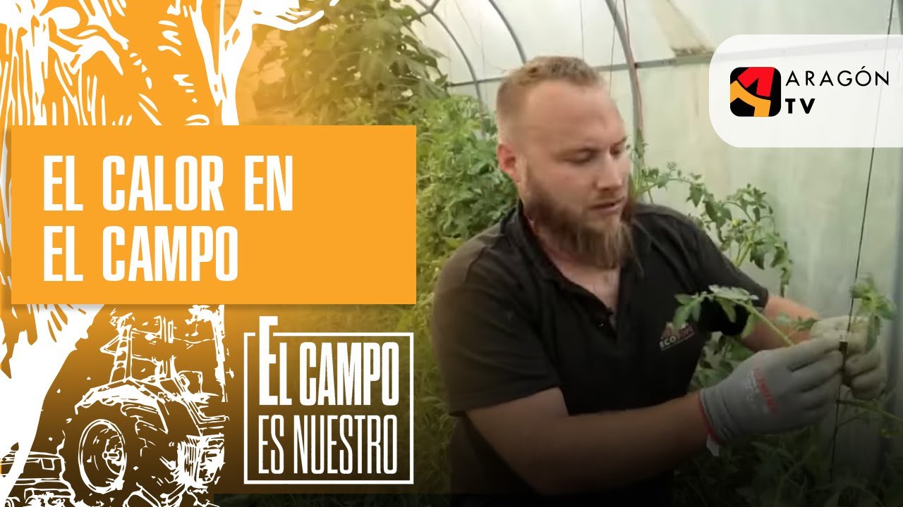 Trucos para sobrellevar el calor en el campo - YouTube