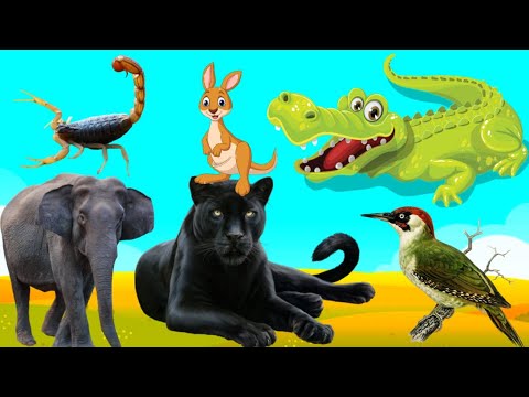 Wild animals make a wide range of noises: sheep, giraffes, elephants ...