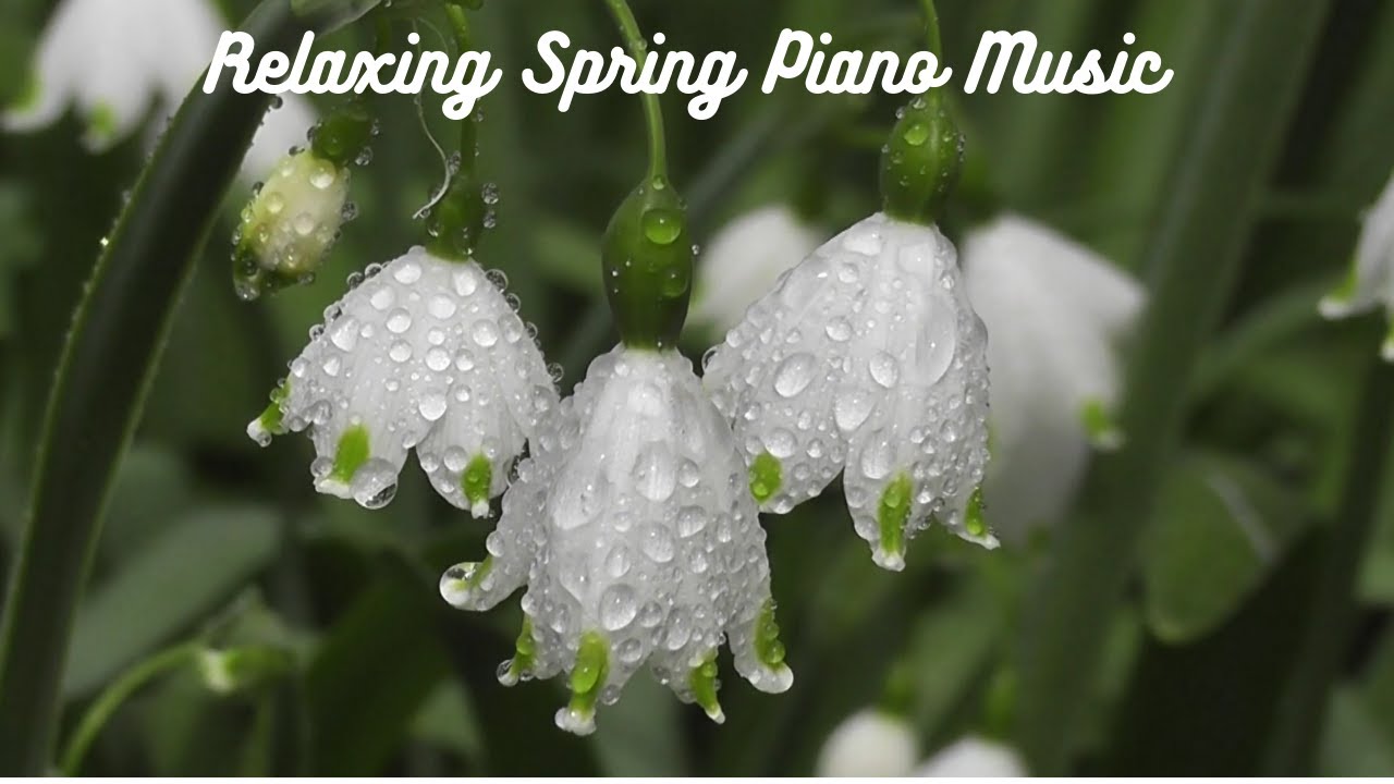 Relaxing Spring Piano Music, Relax, Meditate, Sleep, Stress Relief ...