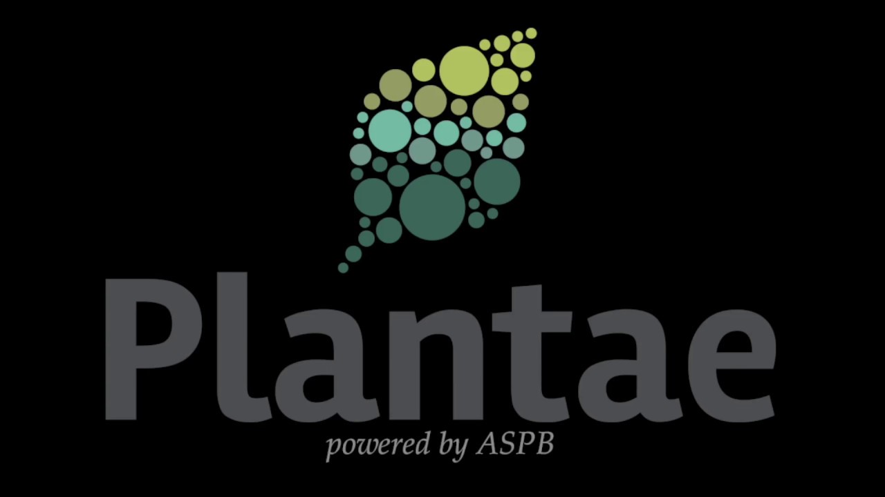 Plantae Overview - YouTube