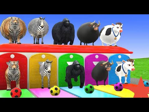 3D Animal Race Simulation on Color Track - YouTube
