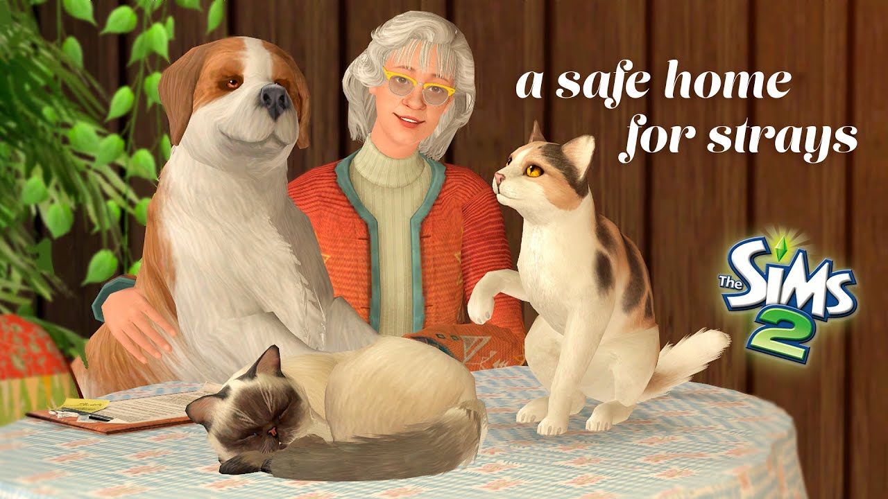 setting up a cozy animal shelter in sims 2 🐶 | pet mods, gameplay ideas ...