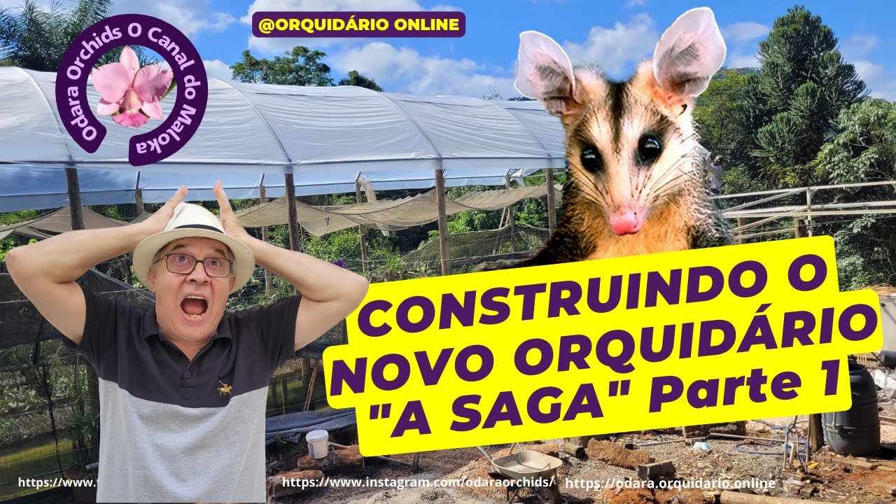 MEU NOVO ORQUIDÁRIO "A SAGA" Parte 1: Desmontagem de 2 orquidários ...