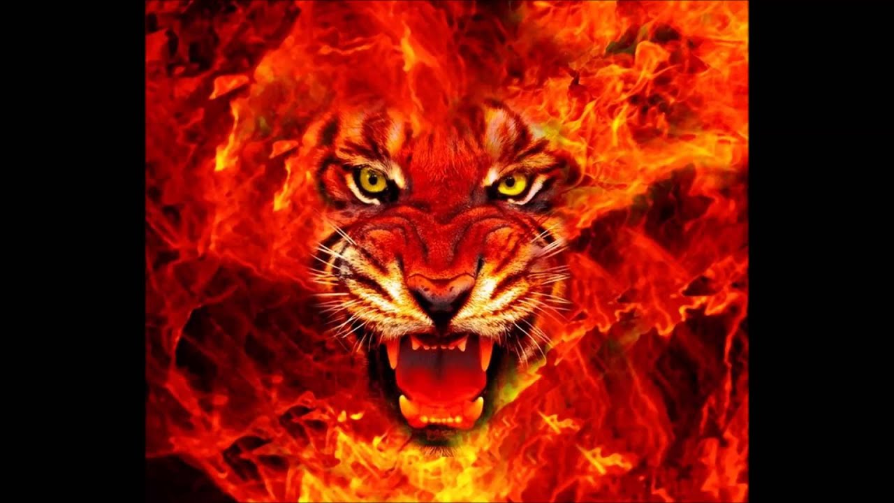 lion rouge cover officiel - YouTube