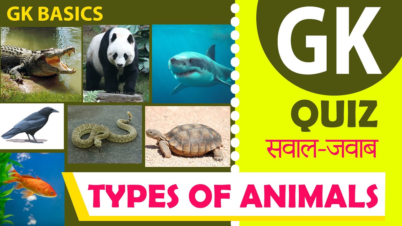 Gk | Quiz on TYPES OF ANIMALS | सवाल जवाब | GK questions & Answers ...