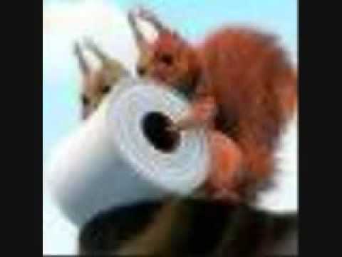 Ripuli on märkää kakkaa - YouTube