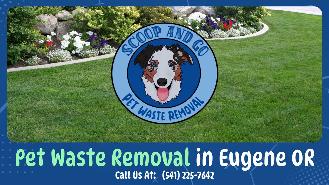 Pet Waste Removal in Eugene OR | Pooper Scooper Service | Dog Poop ...