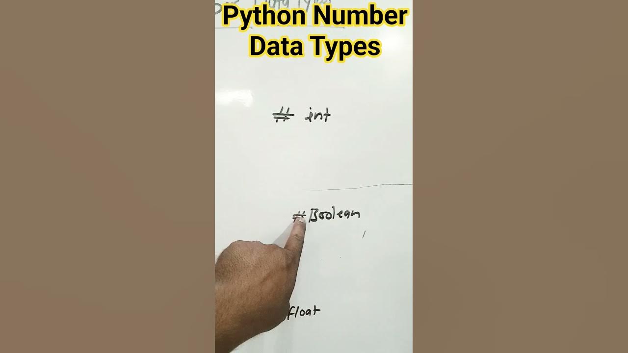 Python Number Data Types Python Pythonprogramming Pythoncoding 6561