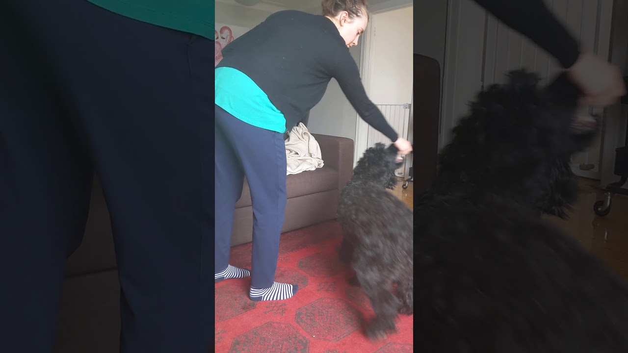 Backchaining - 3: circle "Right" - YouTube