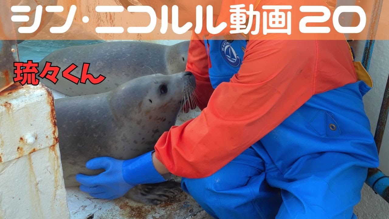 シン・ニコルル動画20 / Shin Niko-Ruru Video 20 - YouTube