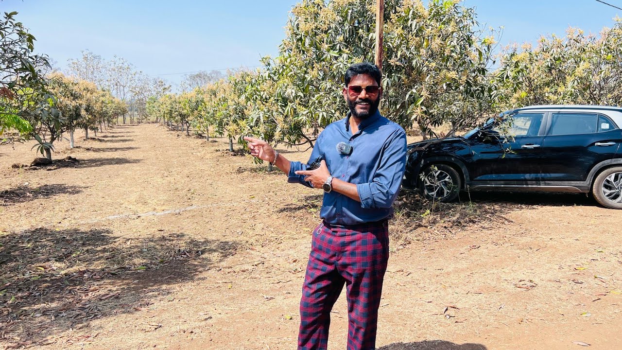 8 Acres Mango Farm Land for Sale in Near Chevella | Farm House In ...