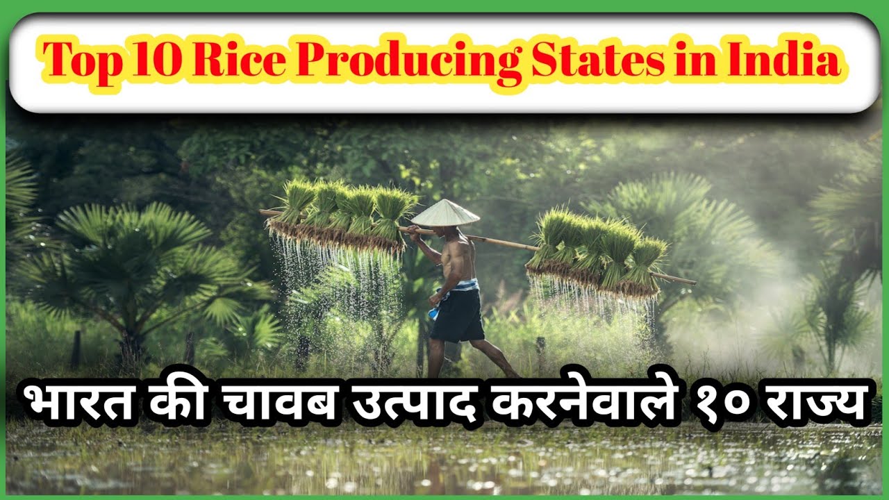 Top 10 Rice Producing States in India/भारत की १० चावल उत्पाद करनेवाले ...