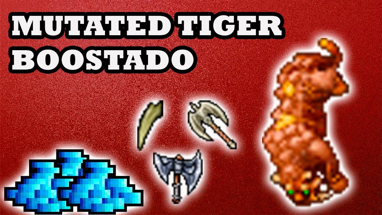 Tibia - Mutated Tiger Boostado! Bom Profit, 3 respawns para lucrar fácil. - YouTube