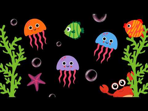 Baby Sensory Video – Newborn Visual Stimulation – Sensory Videos for Babies - Tummy Time #baby