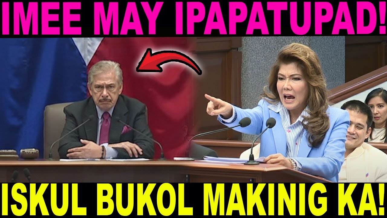 NAKU PO! SEN IMEE MAY ISUSULONG! WANBOL UNIVERSITY MAKINIG KA KAY SEN ...