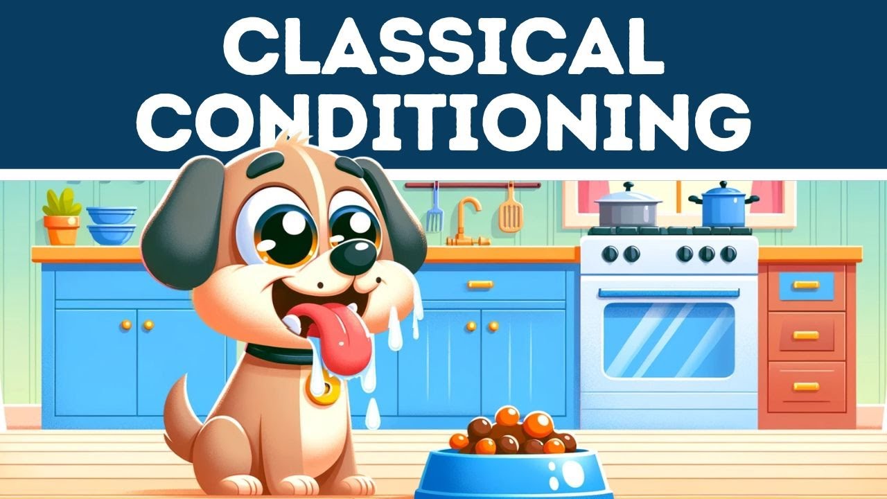 Classical Conditioning (Explained for Beginners in 3 Minutes) - YouTube