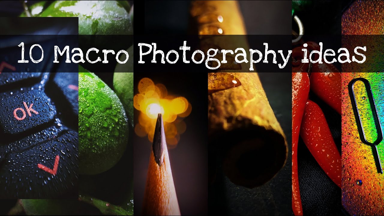 10 EASY MACRO PHOTOGRAPHY IDEAS at Home || Mobile Photography Ideas ...