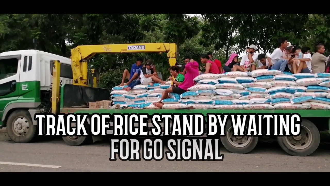 DISTRIBUTION OF 25KLS OF RICE | SALUKOT DRIVE | PASONANCA | ZAMBOANGA ...