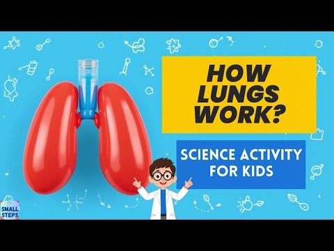 Science Activity for kids l Function of Lungs #lungs#science - YouTube