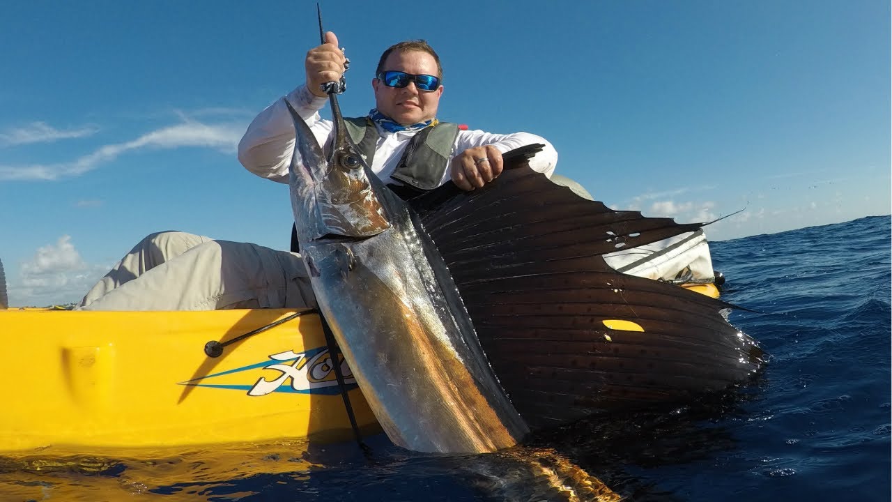 Offshore Kayak Fishing Palm Beach | Double Sailfish | Kingfish | Tuna ...