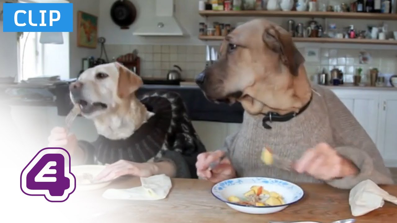 Dinner For Two | Virtually Famous (S1-Ep4) | E4 - YouTube