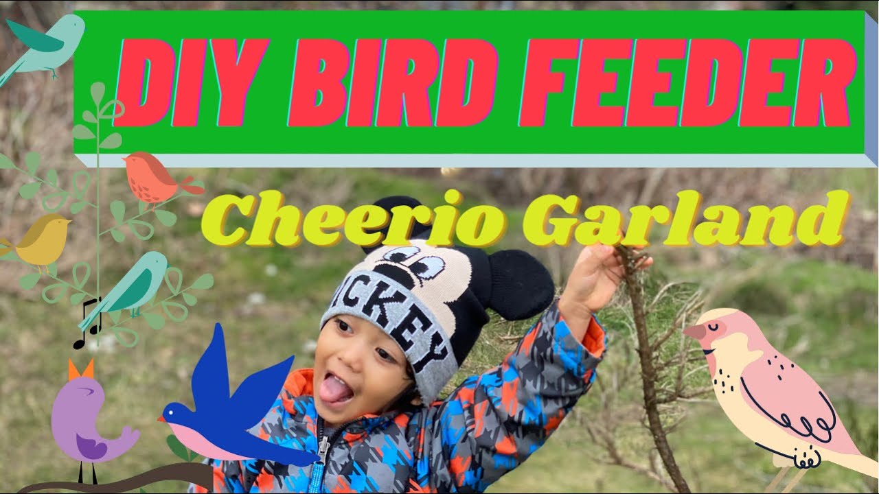DIY Bird Feeder “Cheerio Garland “| Kids Activity | – starkidslearn.com