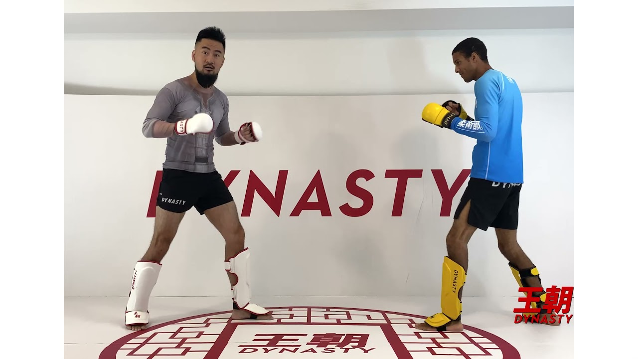 Intercept Push Kick | Sanda Sanshou Kung Fu Technique 散打技術 - YouTube