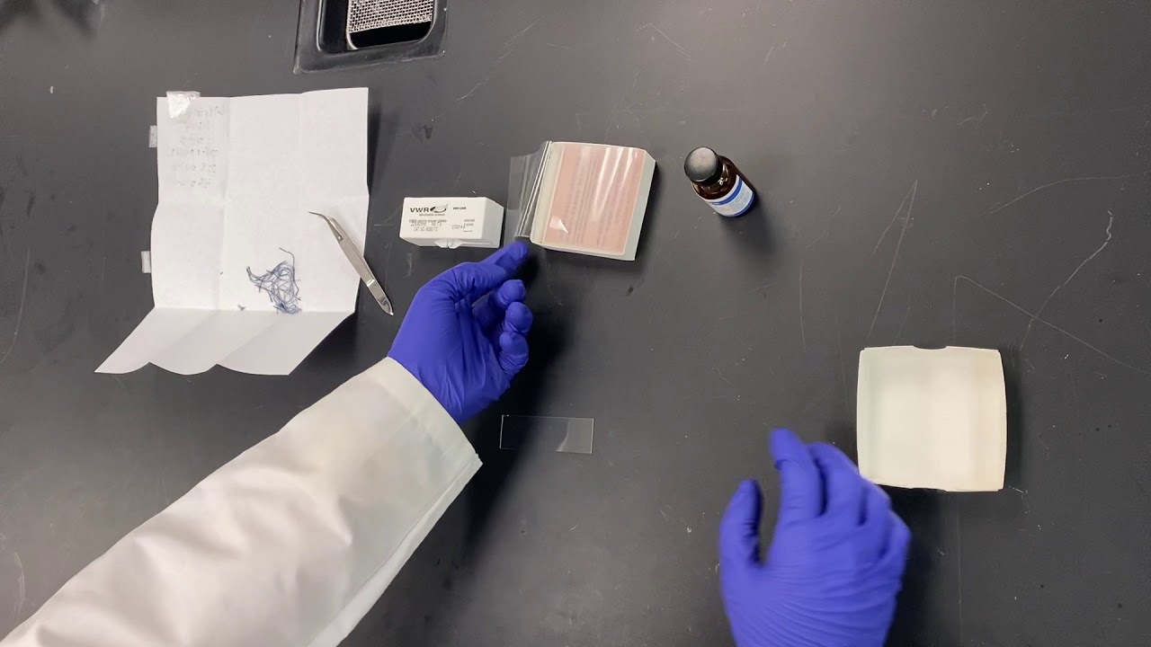 How to Mount a Fiber on a Microscope Slide - YouTube