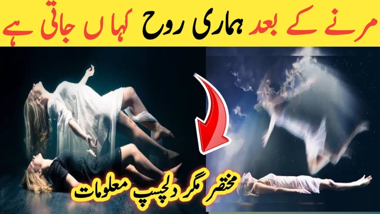 Can Science Make Dead Alive Again and his dreams // Human dreams comes ...