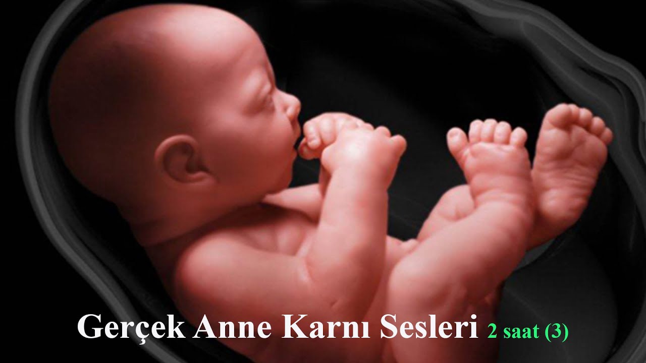 Kolik Bebek Müzikleri Anne Karnındaki Sesler 2saat (3) - YouTube
