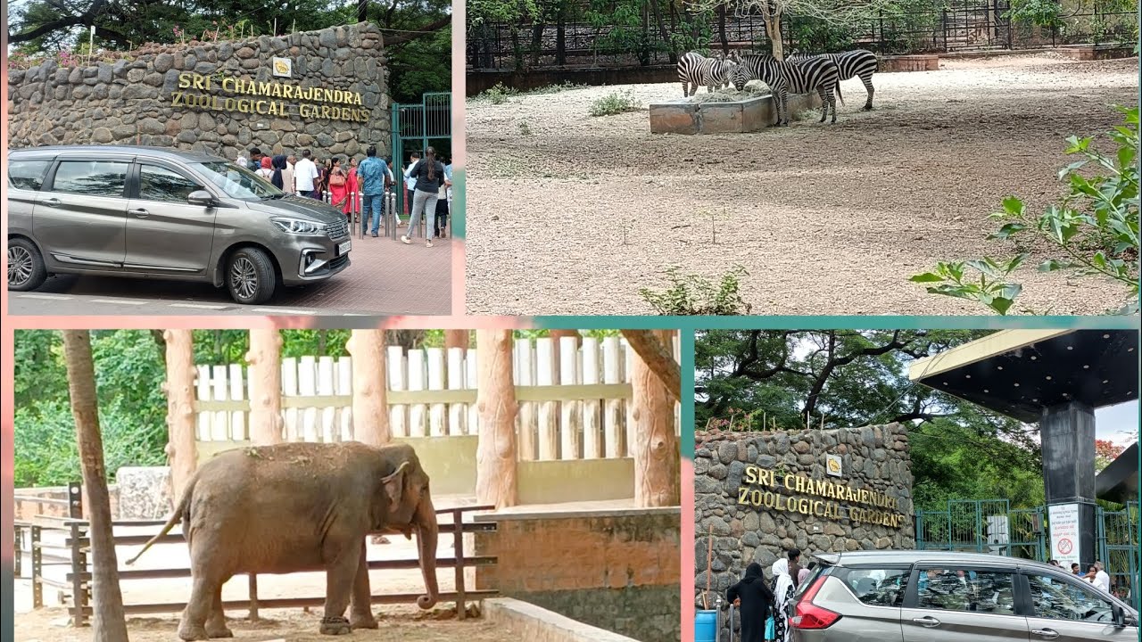 A trip to the Mysore Zoo (മൈസൂർ zoo ഇലേക്ക് ഒരു യാത്ര പോയാലോ..)😍Part-2 ...