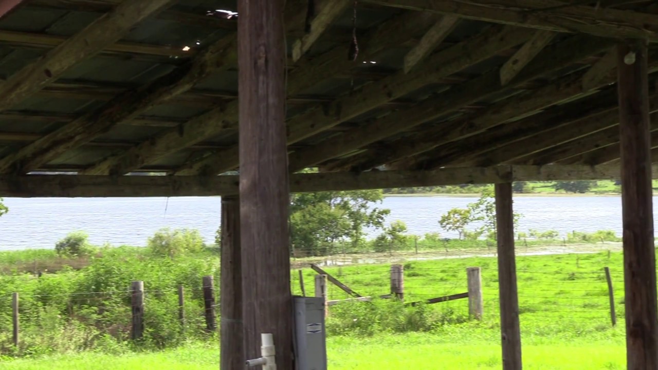 220 acres lake front, view of lake back second home video 1 - YouTube