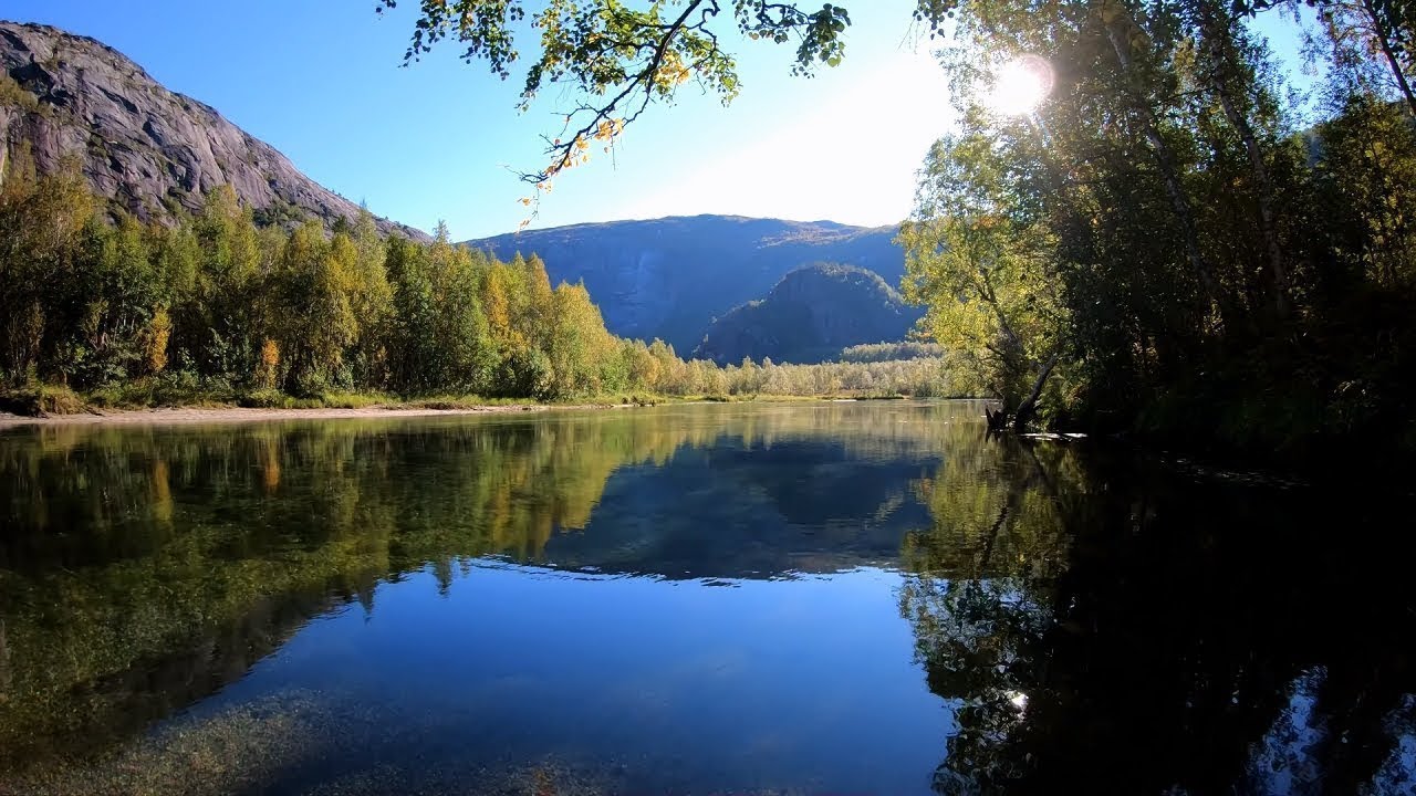 Autumn nature sounds with birds singing in the forest - YouTube