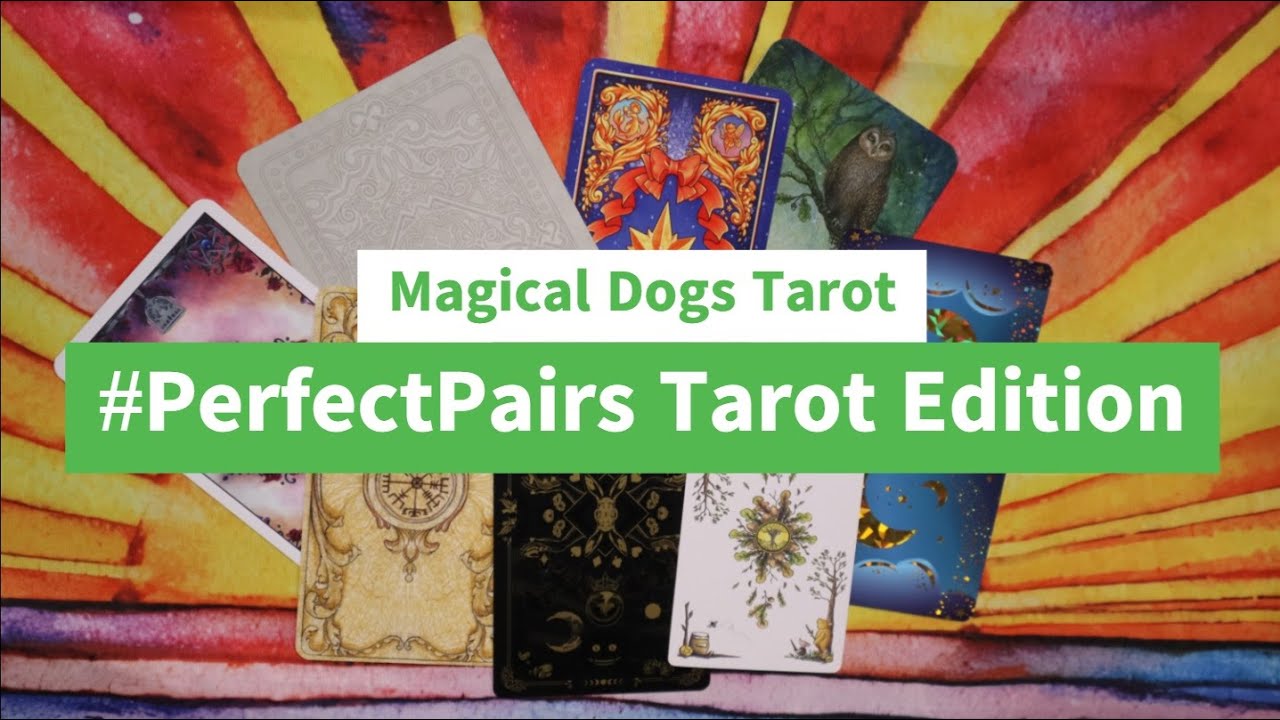 Magical Dogs Tarot || #PerfectPairs Tarot || #DeckStrengthVsWeakness ...