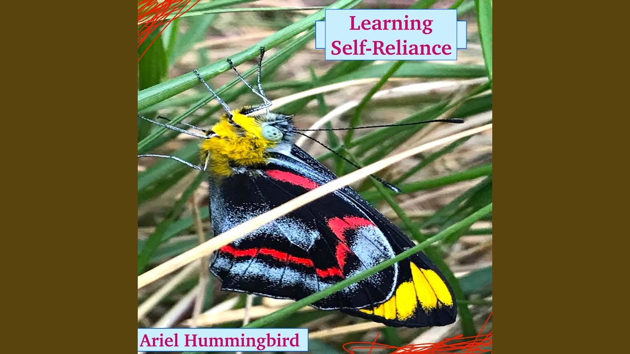 Learning Self-Reliance - YouTube