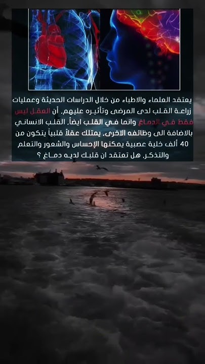 هل تعلم ان العقل ليس فقط في الدماغ؟🤯👌 Followforfollowback معلوماتي