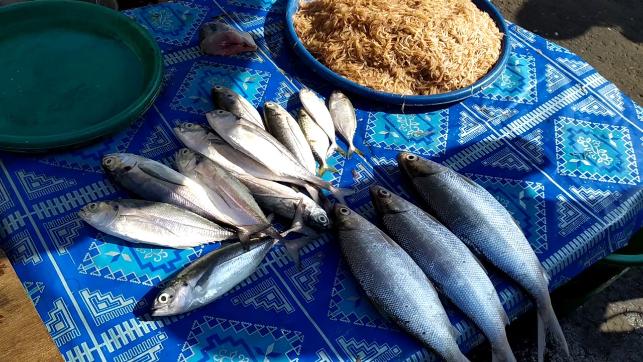 Jakarta Street Food 026 - Part 4 ikan Tengkek rp 50000/ 2 kg Hidup Baru ...