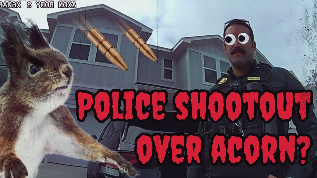 FL Police Officer Uses Excessive Force Over Acorn. Only in Florida ...