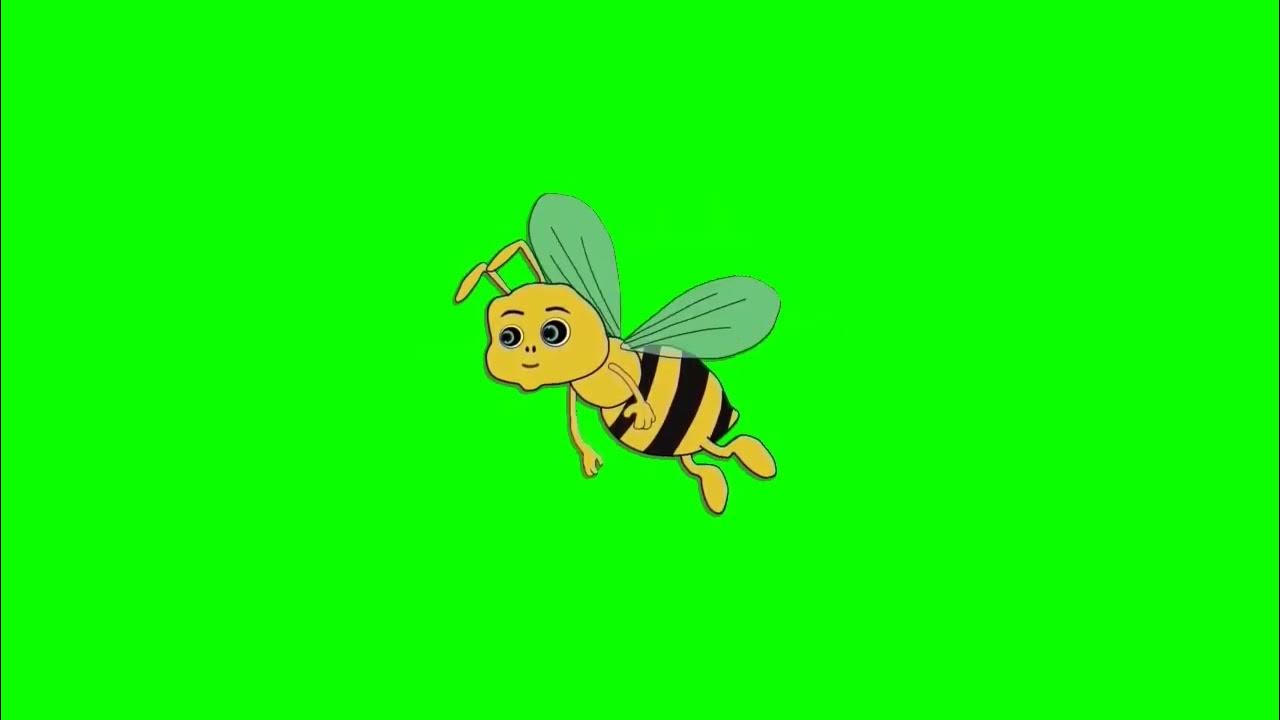 Bee green screen no copyright free video/bee green screen video - YouTube