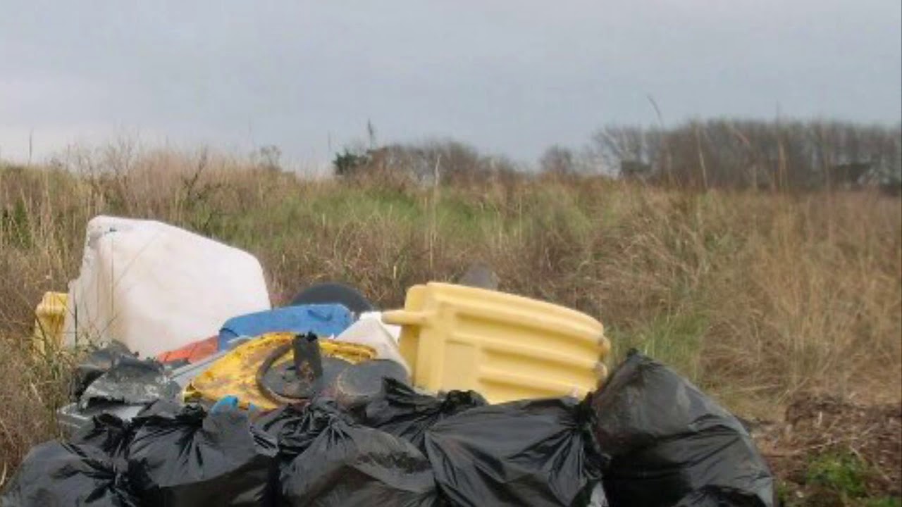 Hightown Beach Clean Up - Dan Jones JMU Journalism. - YouTube