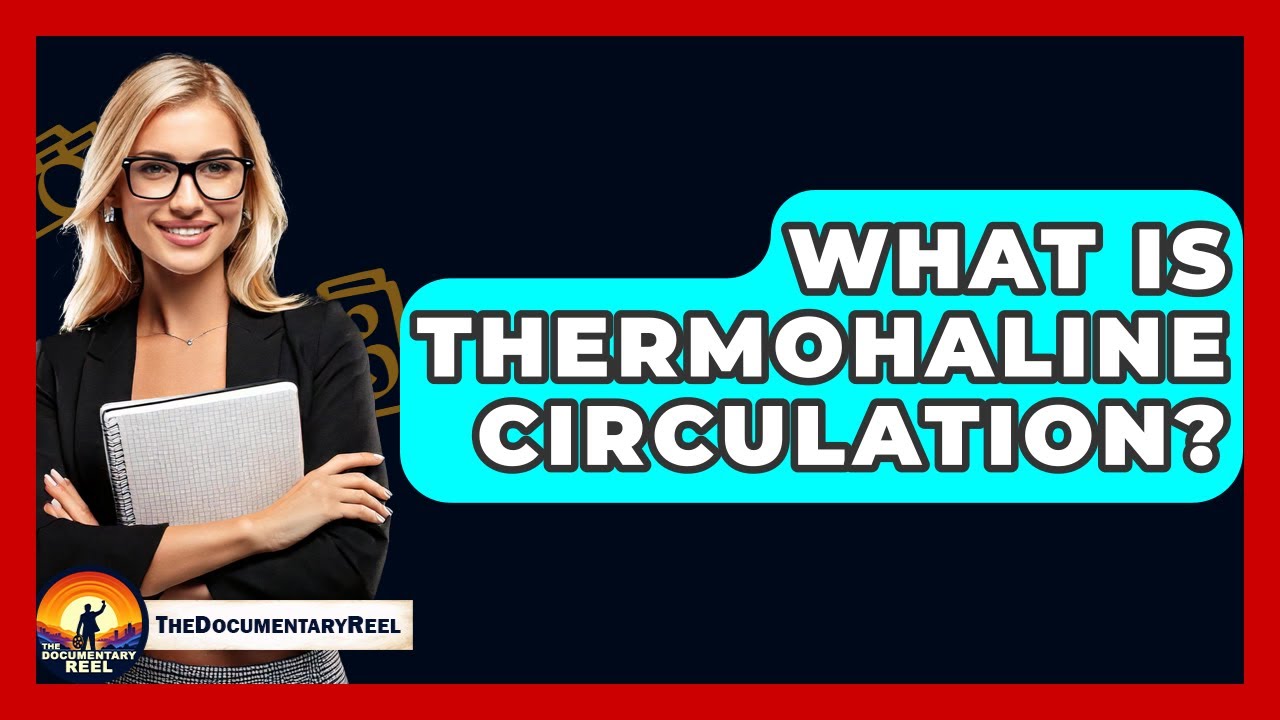 What Is Thermohaline Circulation? - The Documentary Reel - YouTube